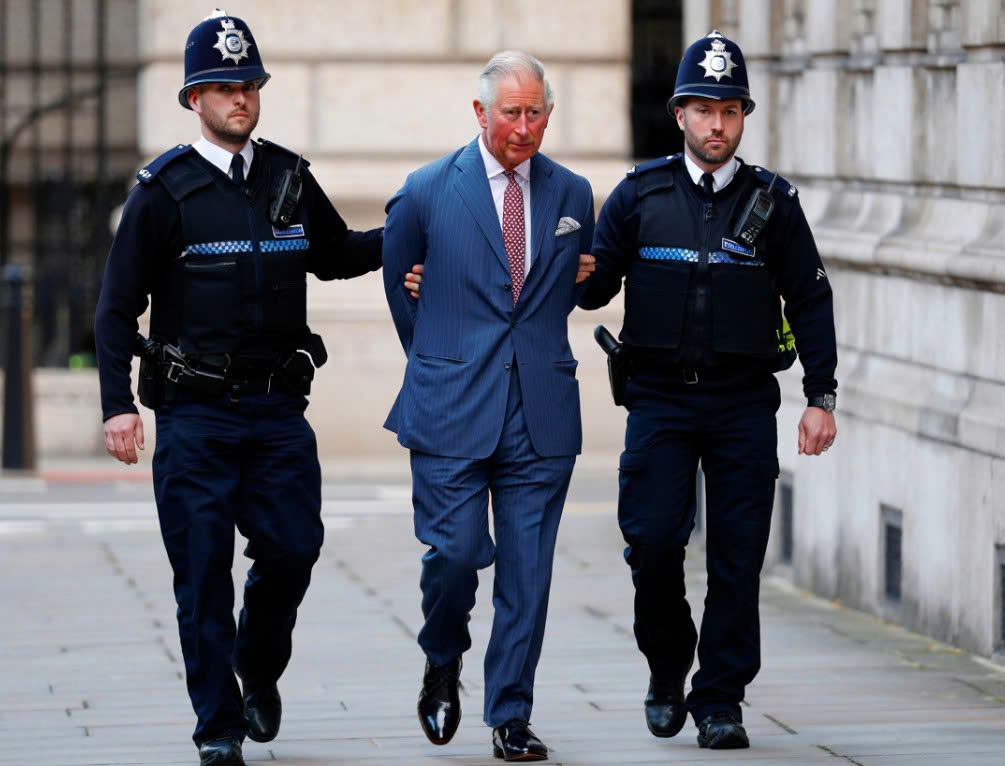 15 minutes ago, police urgently arrested the person who harmed Princess ...